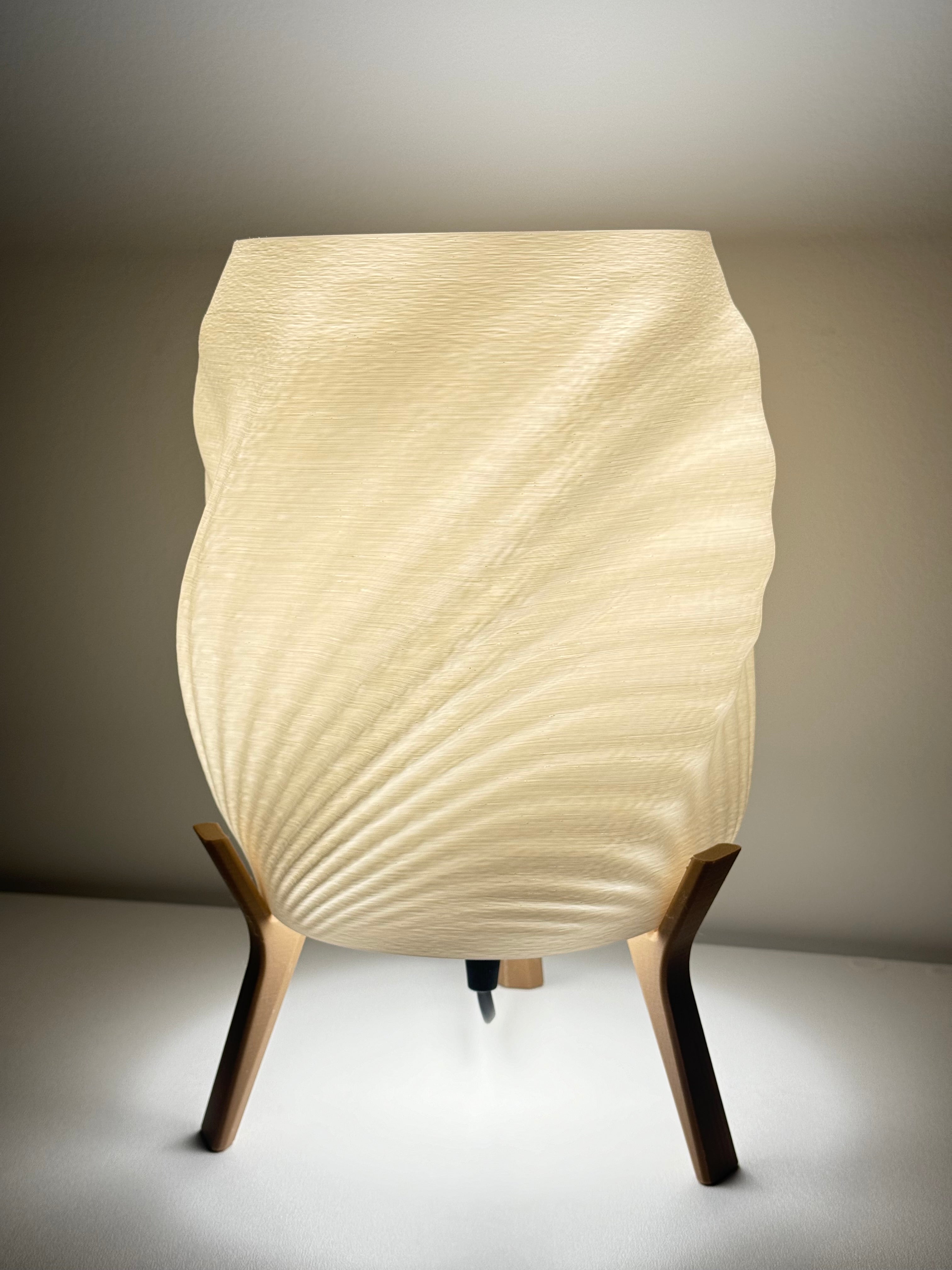Seashell Light – Amora